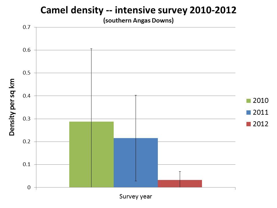 Camel – Australian Wildlife Services